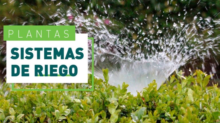 Tipos de riego automatizado para tu jardín - promagal.es - Blog Informativo