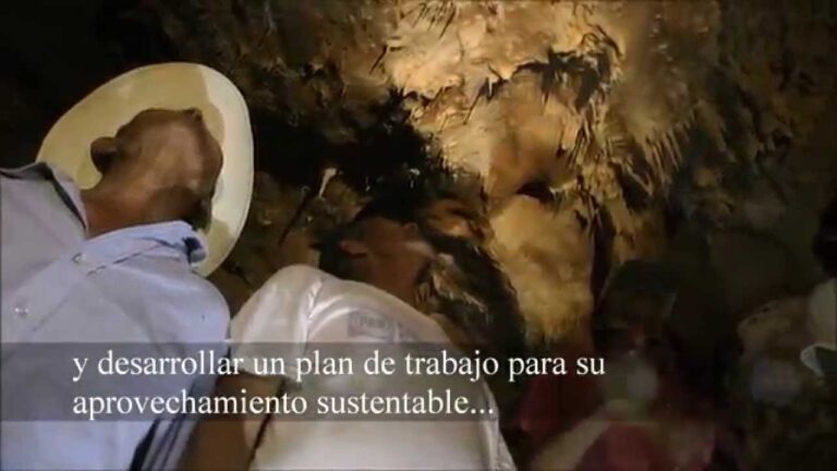 Explorando la flora de Tabasco - promagal.es - Blog Informativo